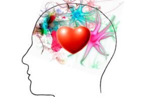 Cómo se relacionan las emociones con la fisiologí­a ...