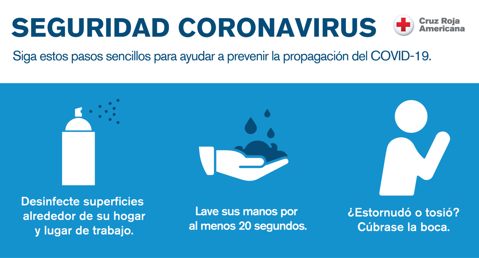 Cuáles son las pautas de seguridad durante una crisis ...